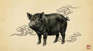 Chinese Zodiac Myths: Fascinating Legends and Hidden Stories of the Zodiac